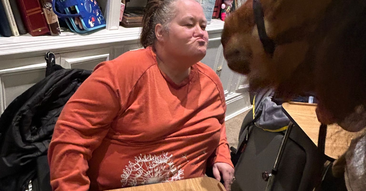 Rupert the horse | Maesbrook Care Home